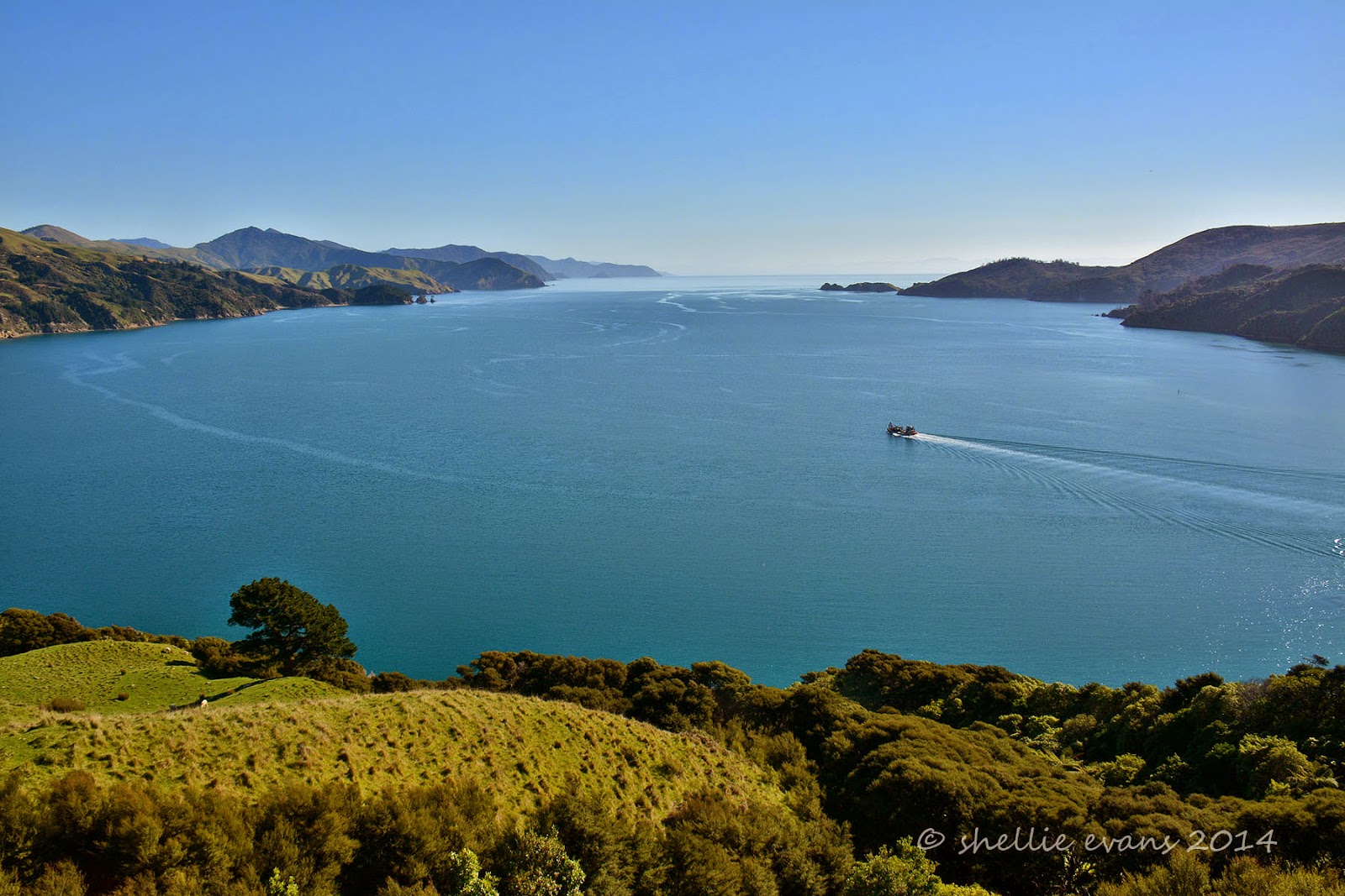 Two Go Tiki Touring: The Road to French Pass