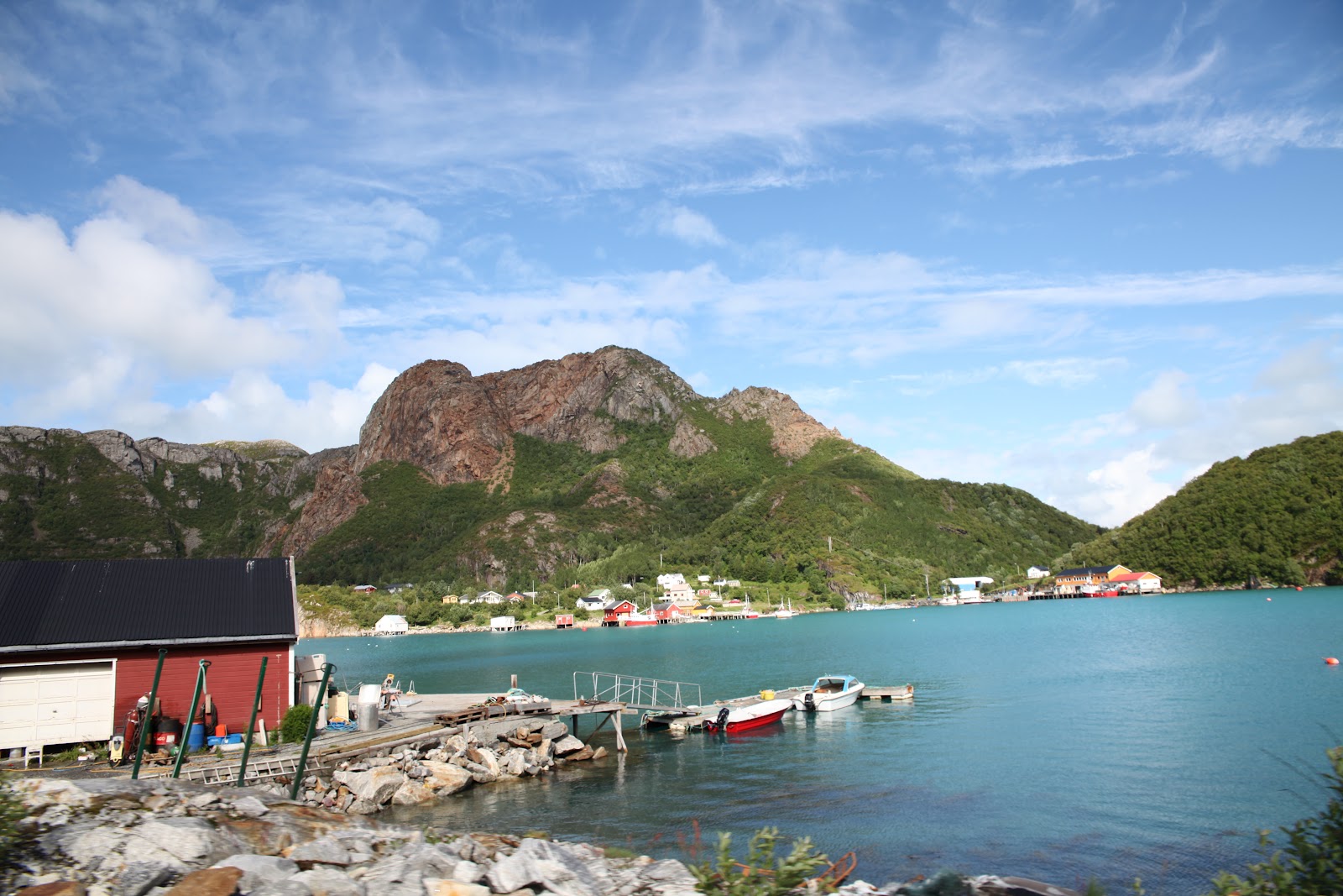 Svalbardliv: Rause Rødøy