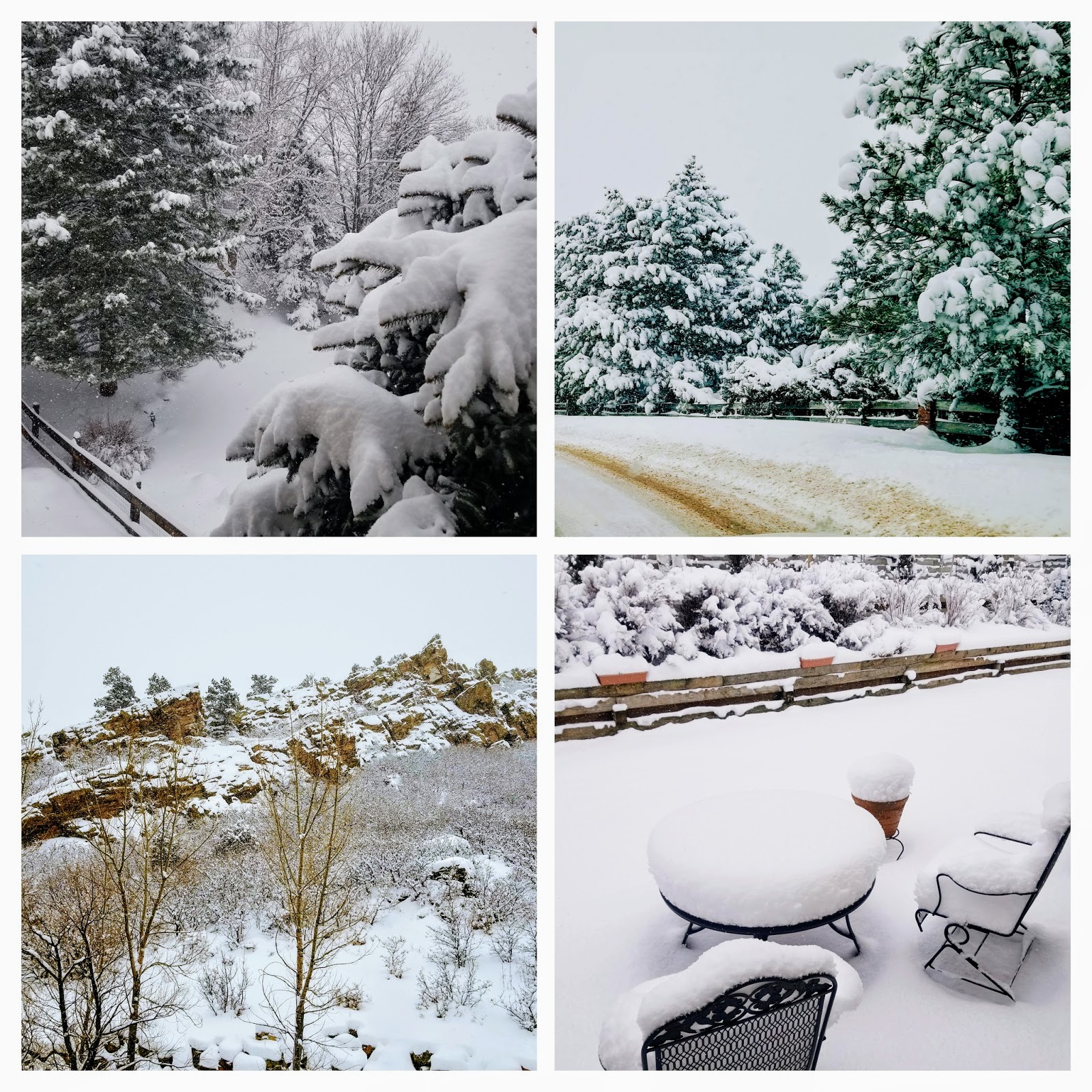 Mille Fiori Favoriti: A Very Snowy February!