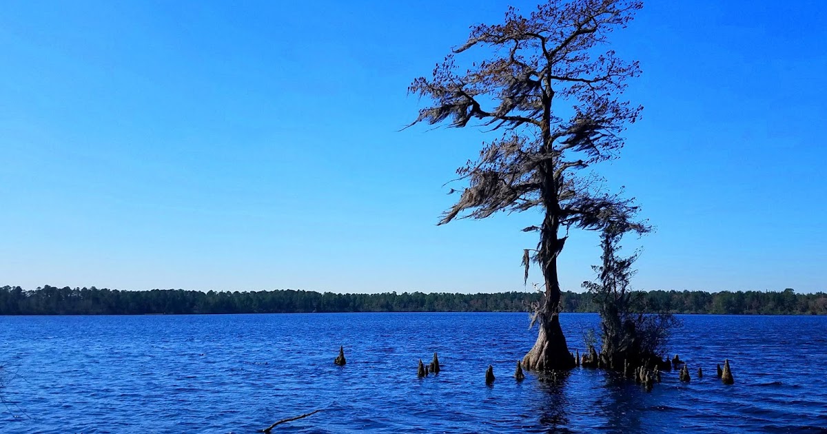 Smoky Scout's Hiking Adventures: North Carolina State Parks: Jones Lake ...