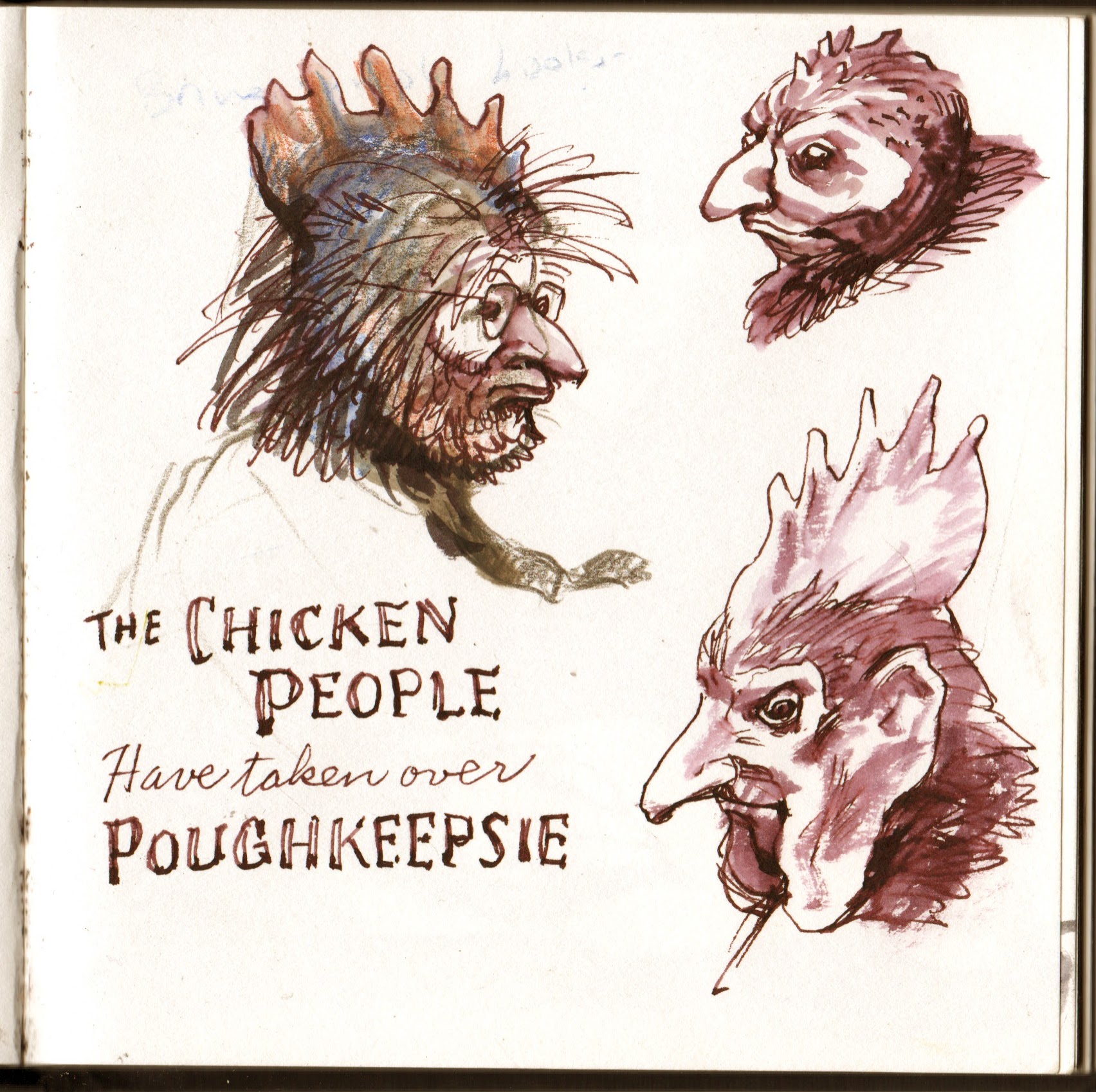 Gurney Journey: Chicken People in Poughkeepsie