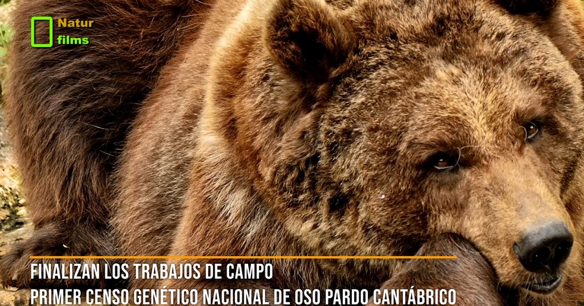 🟢 El mundo de Carol y Juan: Segmento de información: Conservación ...