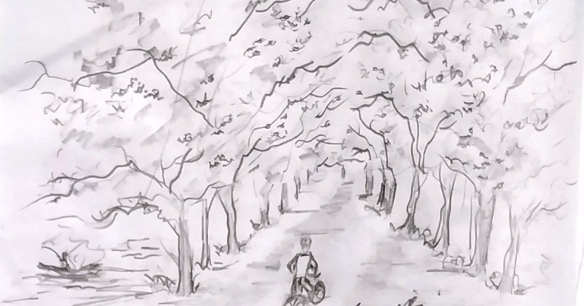 Tarang...: Random Pencil Sketches: Pathway, Forest and Human Figures