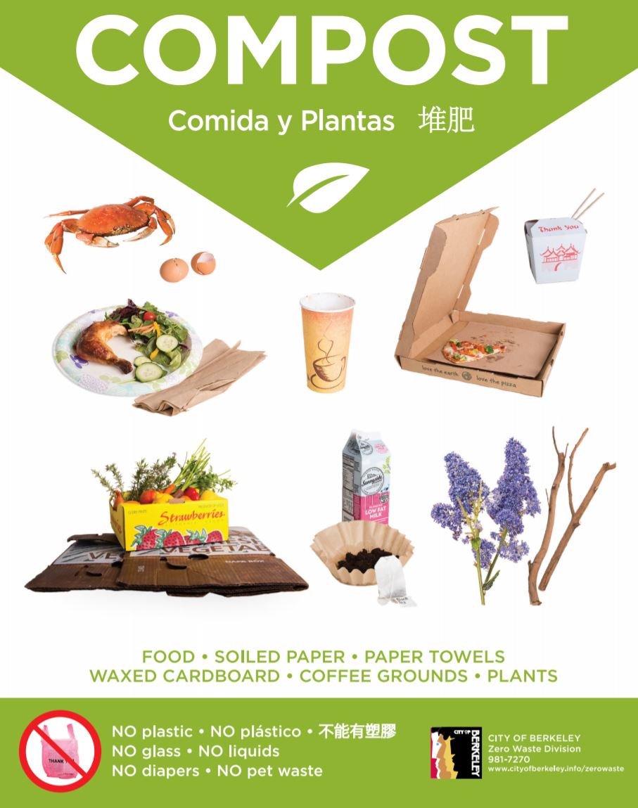 Regeneration in ACTION: Beyond recycling plastics: elimination of ...