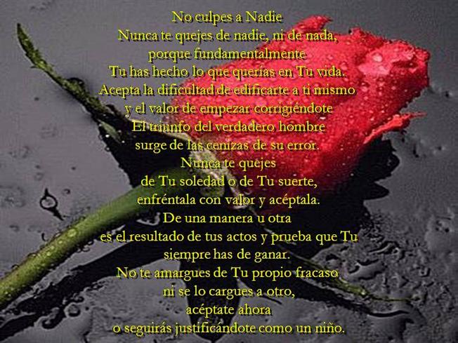 MONICA Y LUCI: NO CULPES A NADIE POEMA DE PABLO NERUDA MONICA Y LUCI: NO CULPES A NADIE POEMA DE PABLO NERUDA