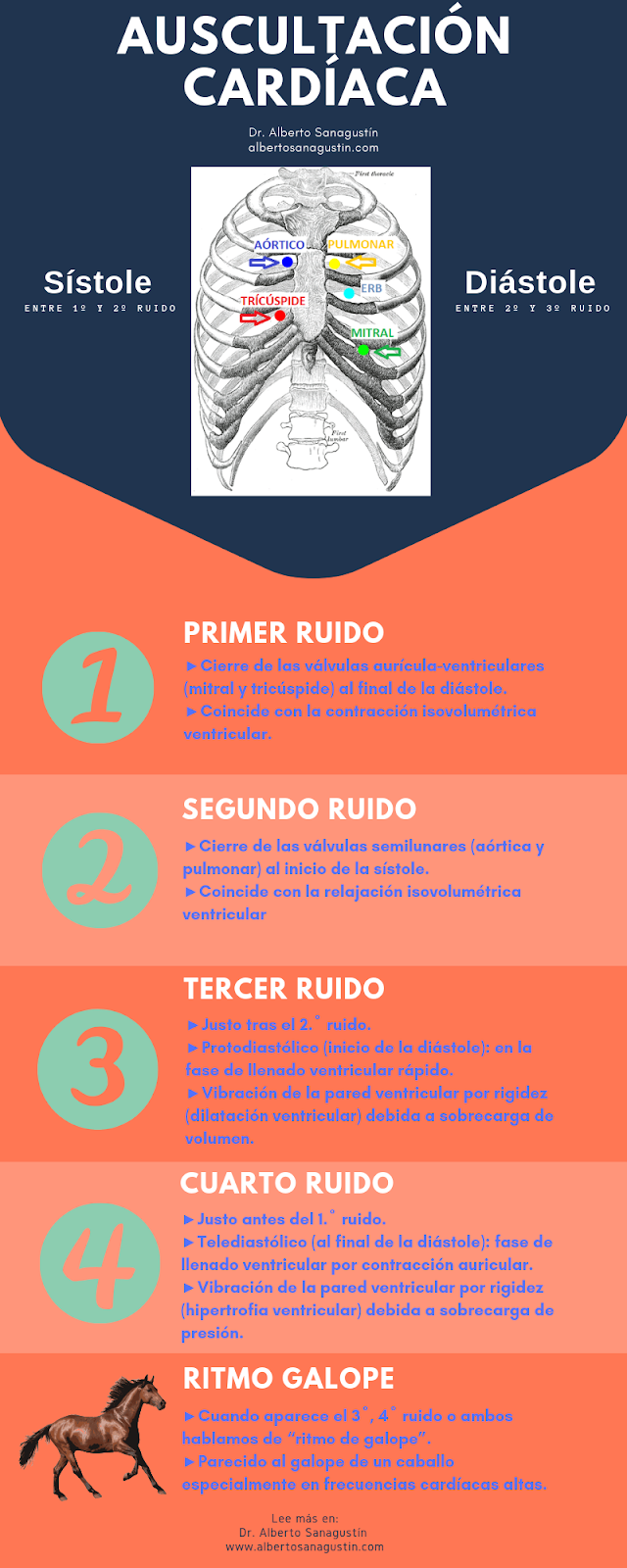 Auscultación cardíaca : ruidos cardíacos, clics y chasquidos | Dr ...