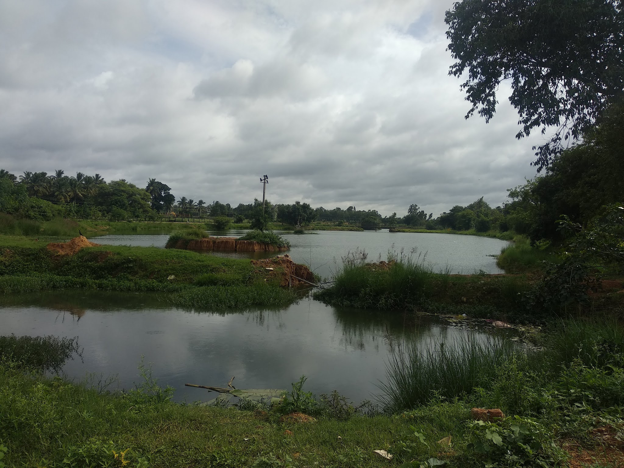 Biome Trust: Kannamangala lake rejuvenated through Citizen-driven ...