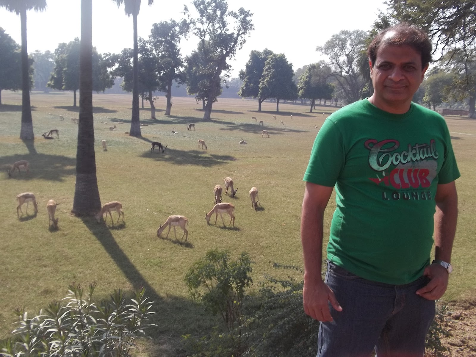 Wanderlust: Malsi Deer Park - Dehradun