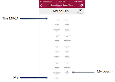 DNA Basics - Most Recent Common Ancestor MRCA