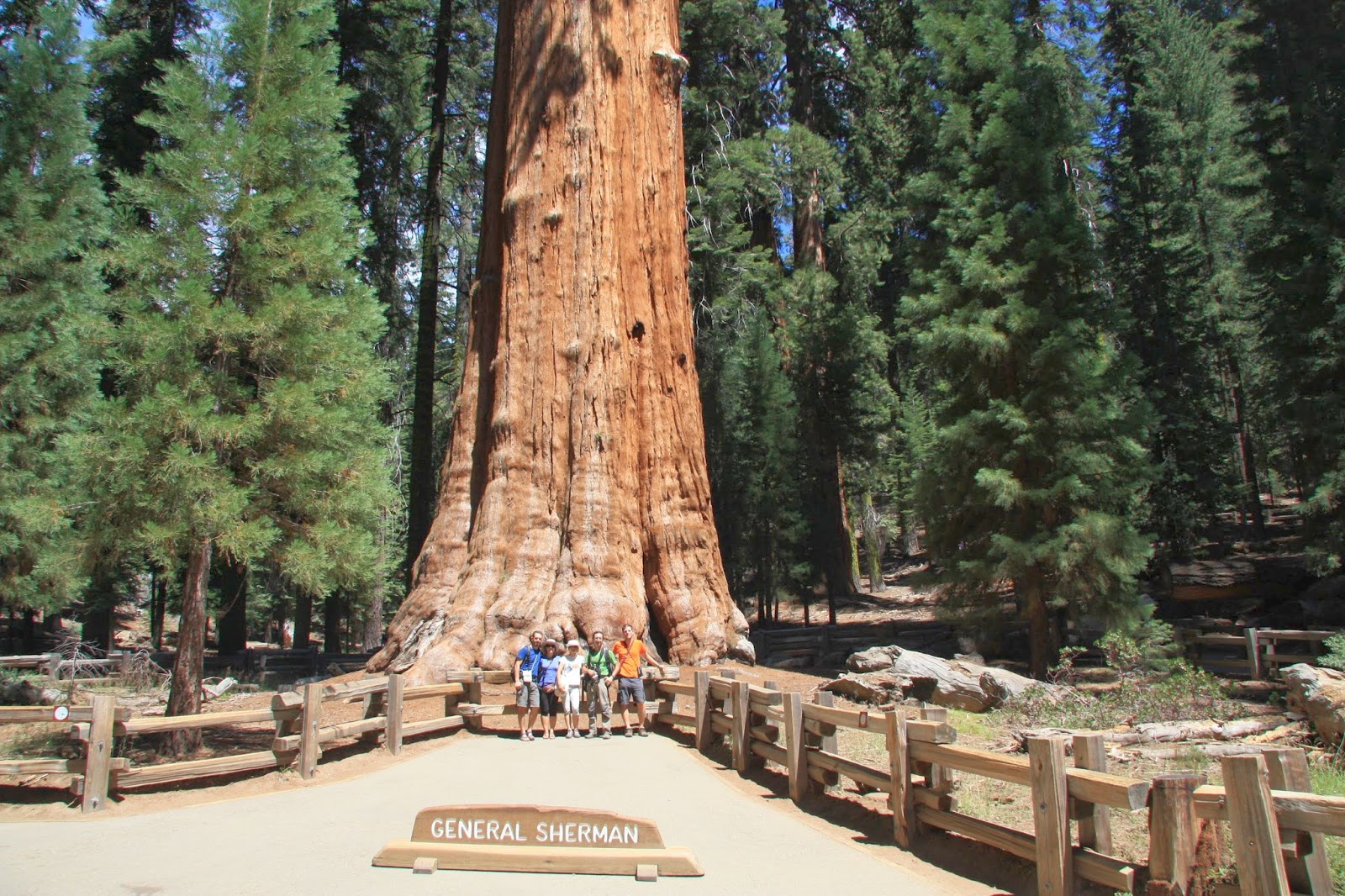 Viviendo la Montaña: SEQUOIA NATIONAL PARK: The Wolverton Cutoff Loop