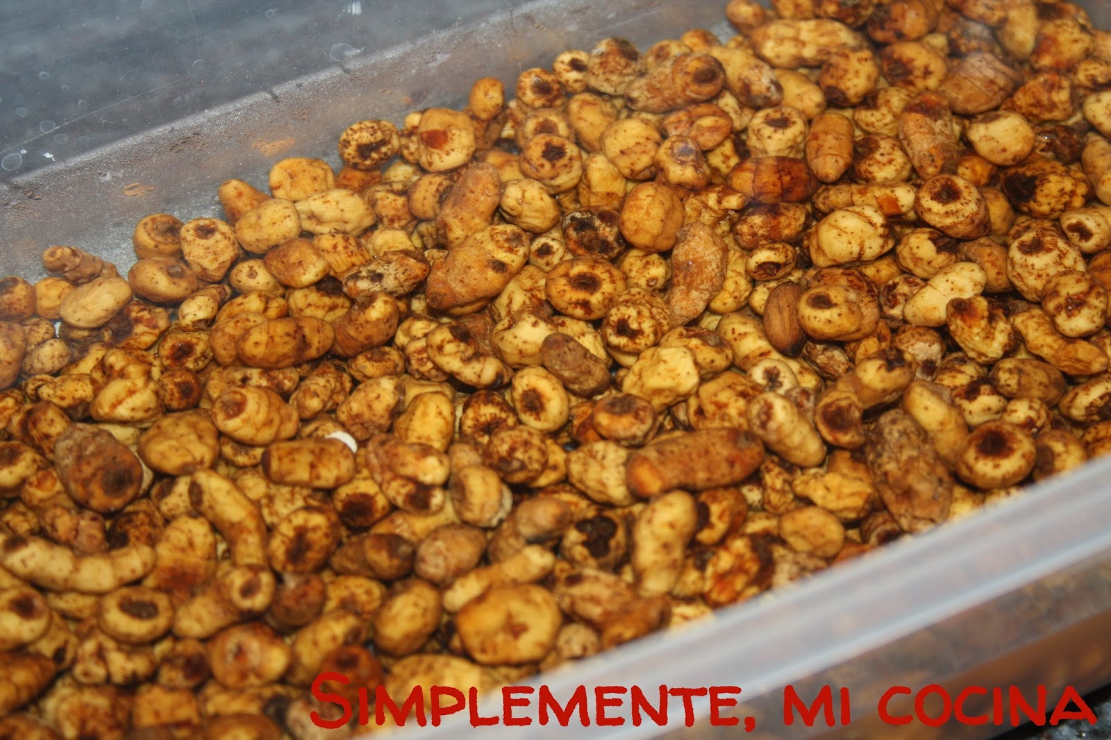 Simplemente, mi cocina: Horchata (de chufas de Valencia)