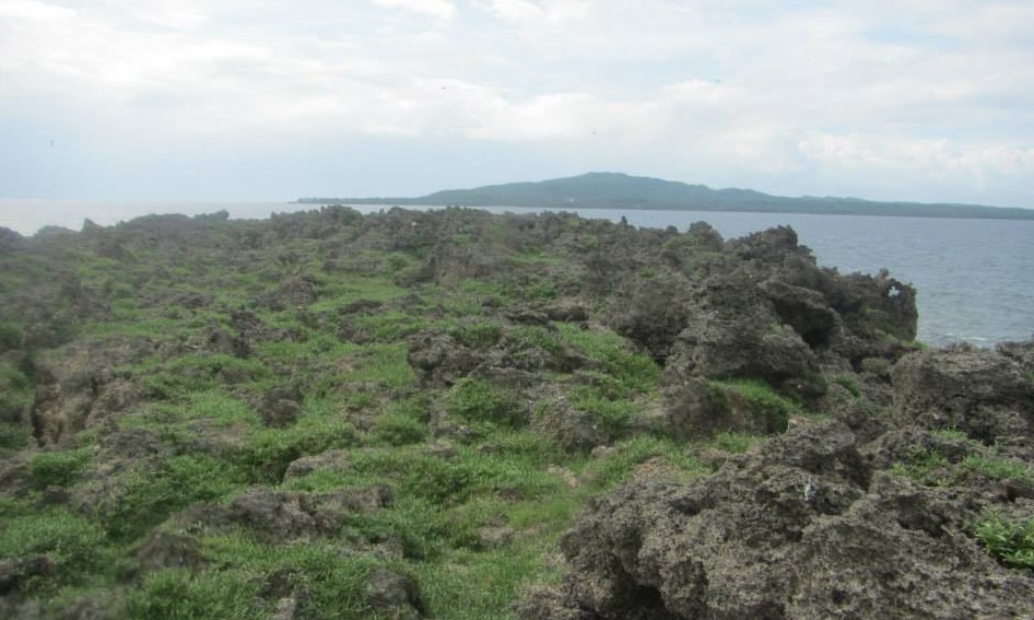 LEXICAL CROWN: BALISCAR ISLET, ALABAT ISLAND, CAGBALETE ISLAND AND ...