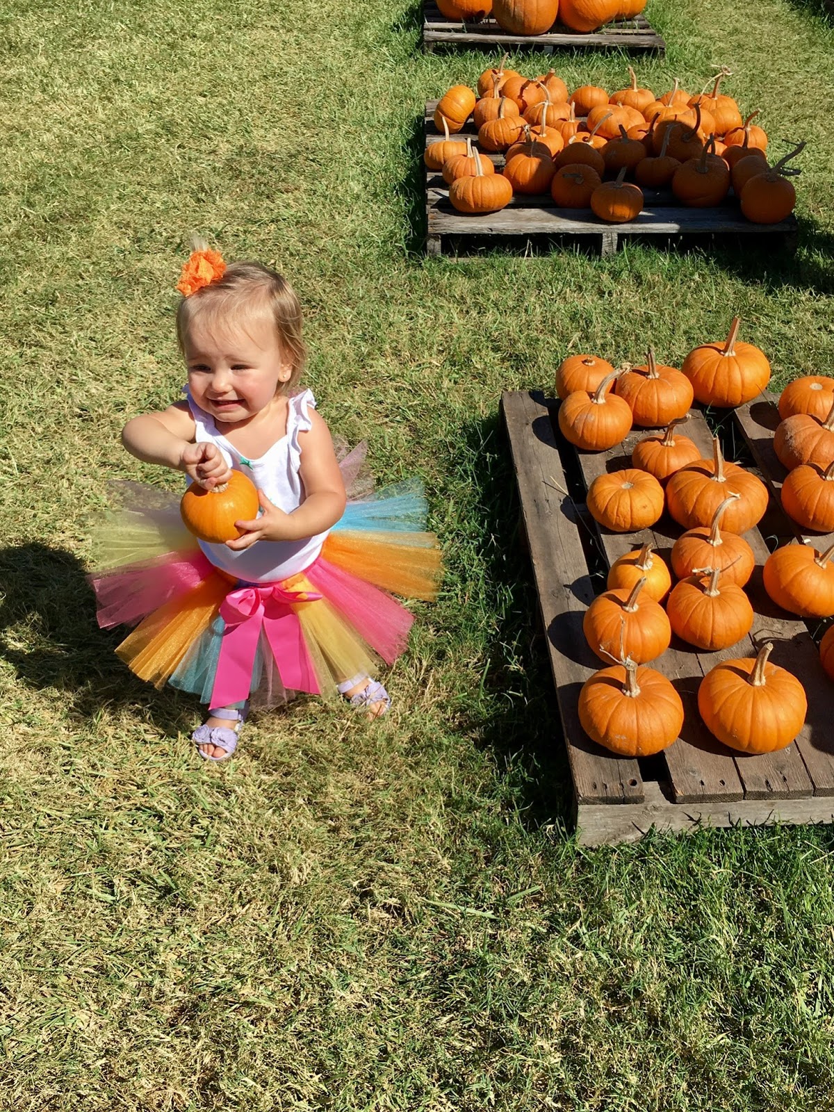 Chloe Grace at the Pumpkin Patch - Amy's Balancing Act