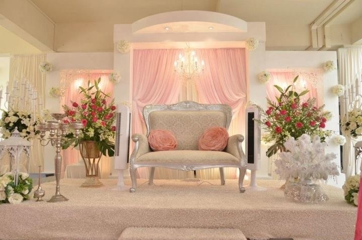 Infojelita: 5 Jenis Pelamin Moden