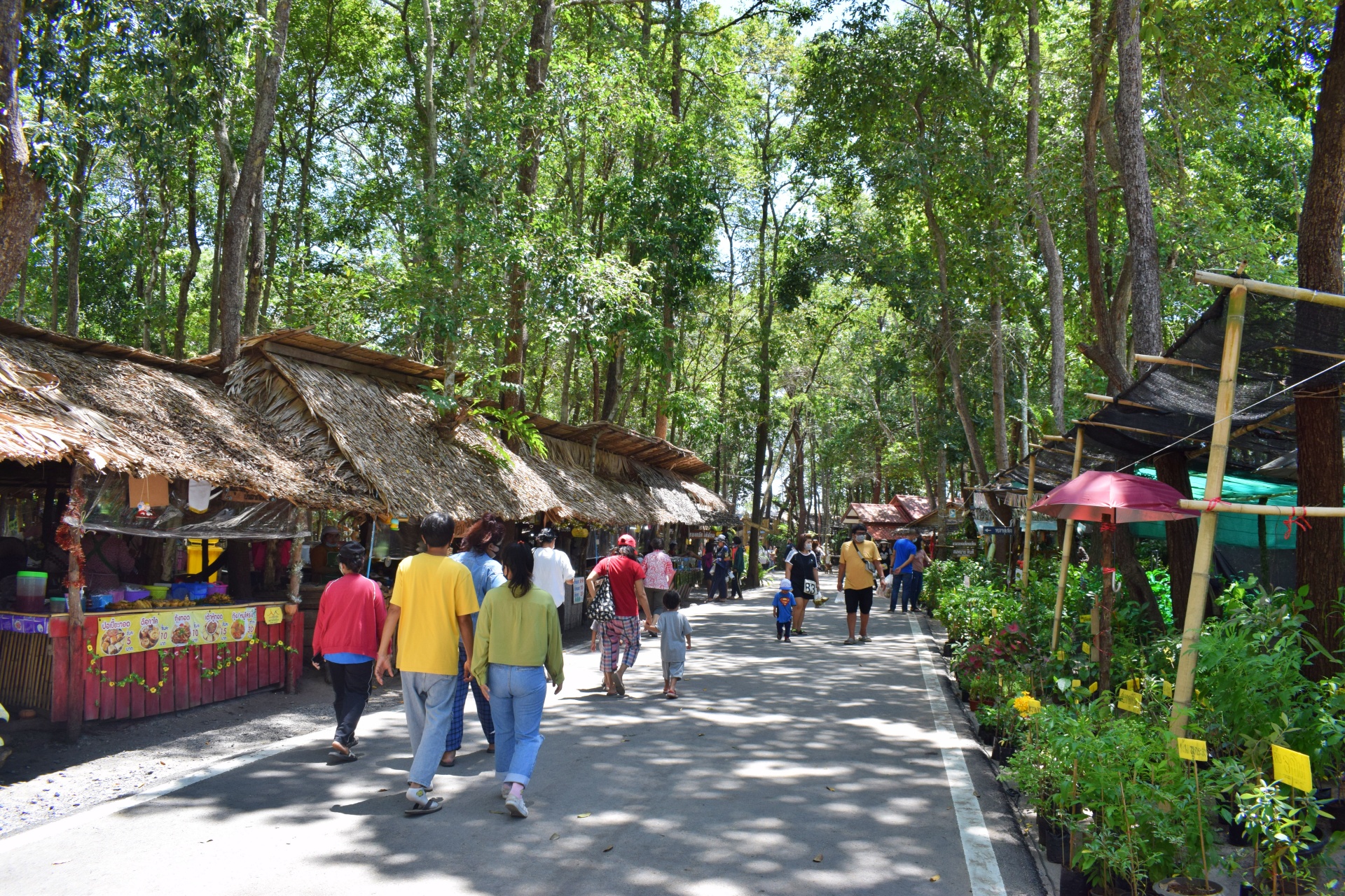 Market Under The Trees