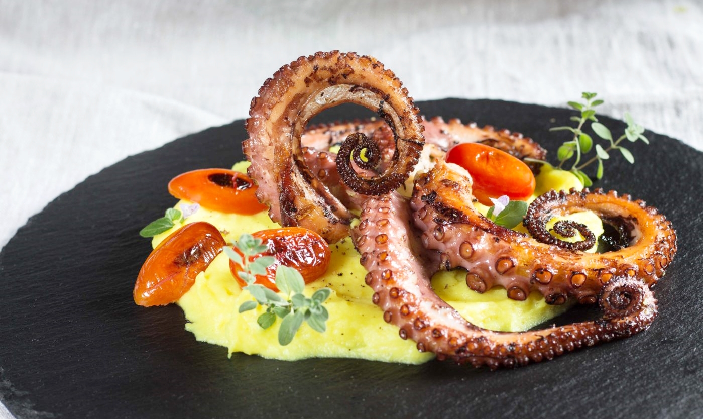 Eu, Gourmet: O polvo!