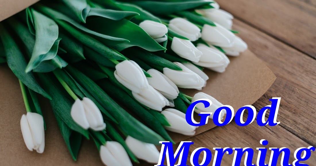 Top 10 Good Morning Images greeting Pictures,Photos for Whatsapp - Good ...