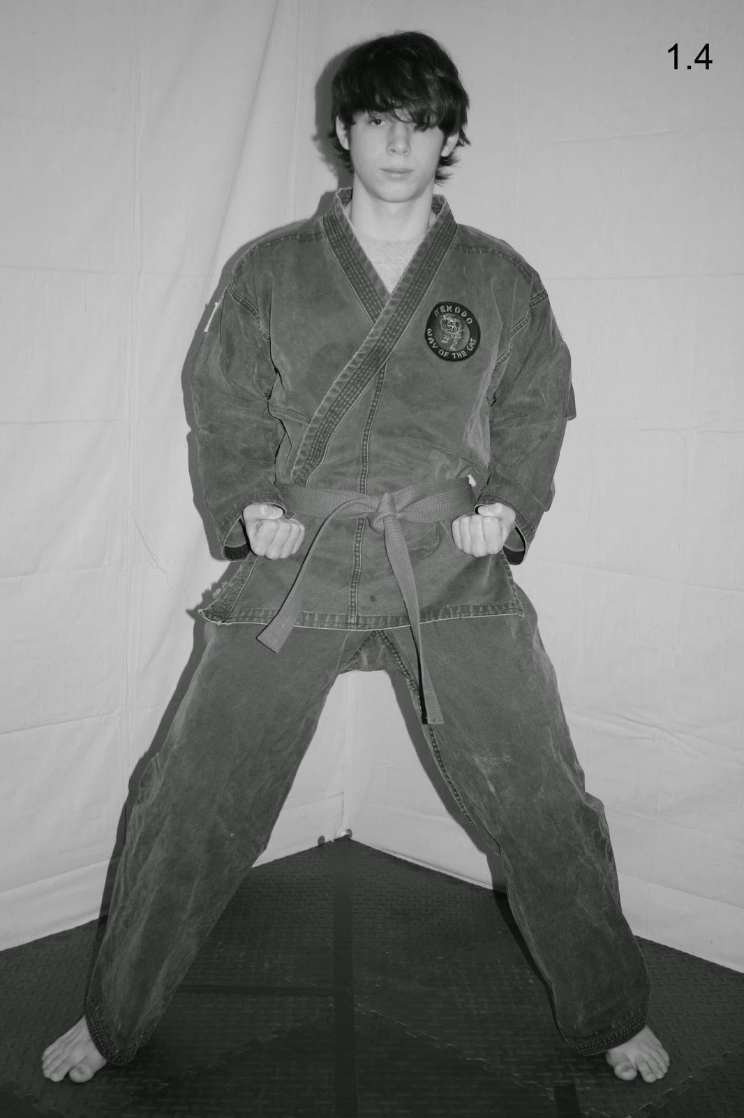 Righting Crime Fiction: A Writer's Guide to Fighting: The Ready Stance