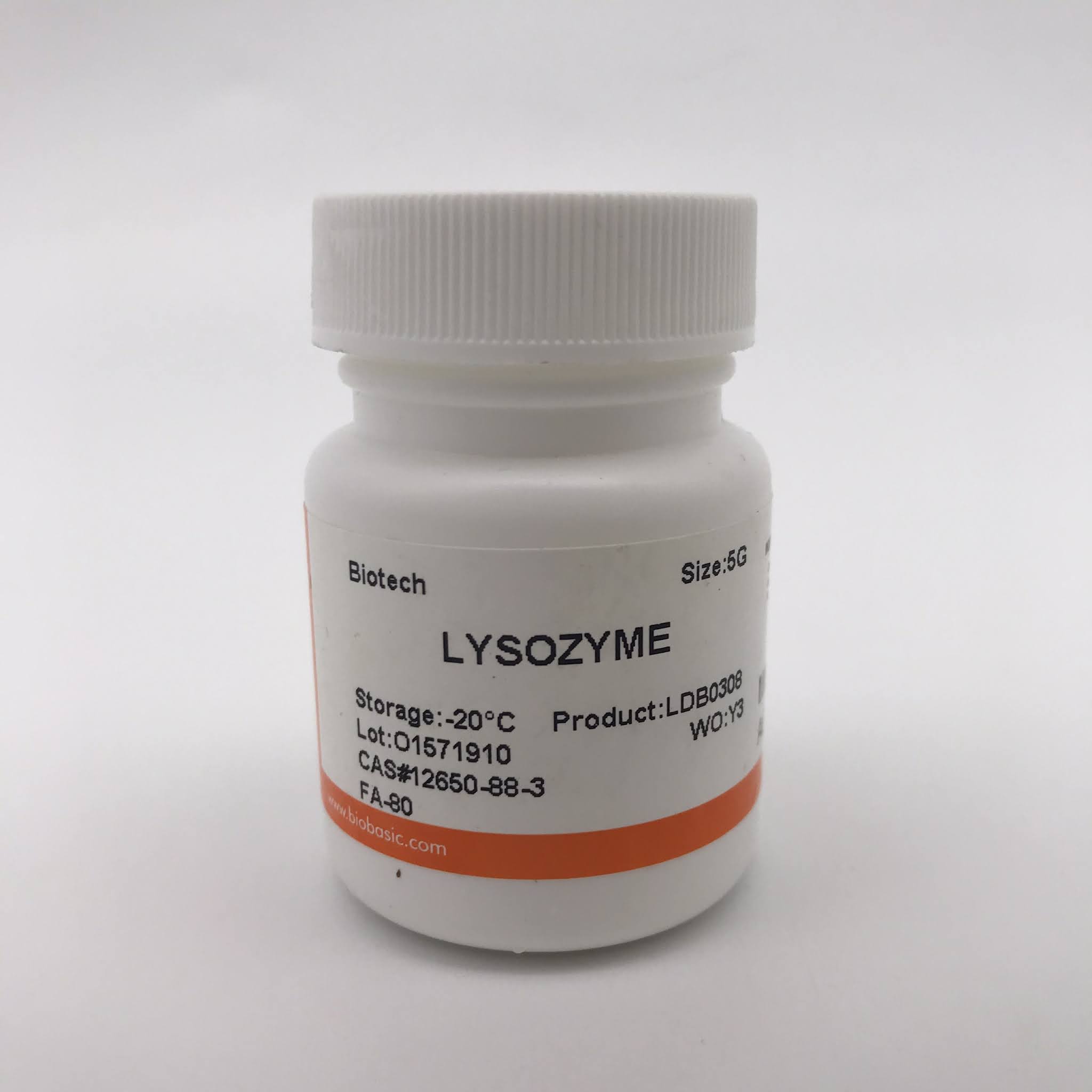 What Does Lysozyme Break Down