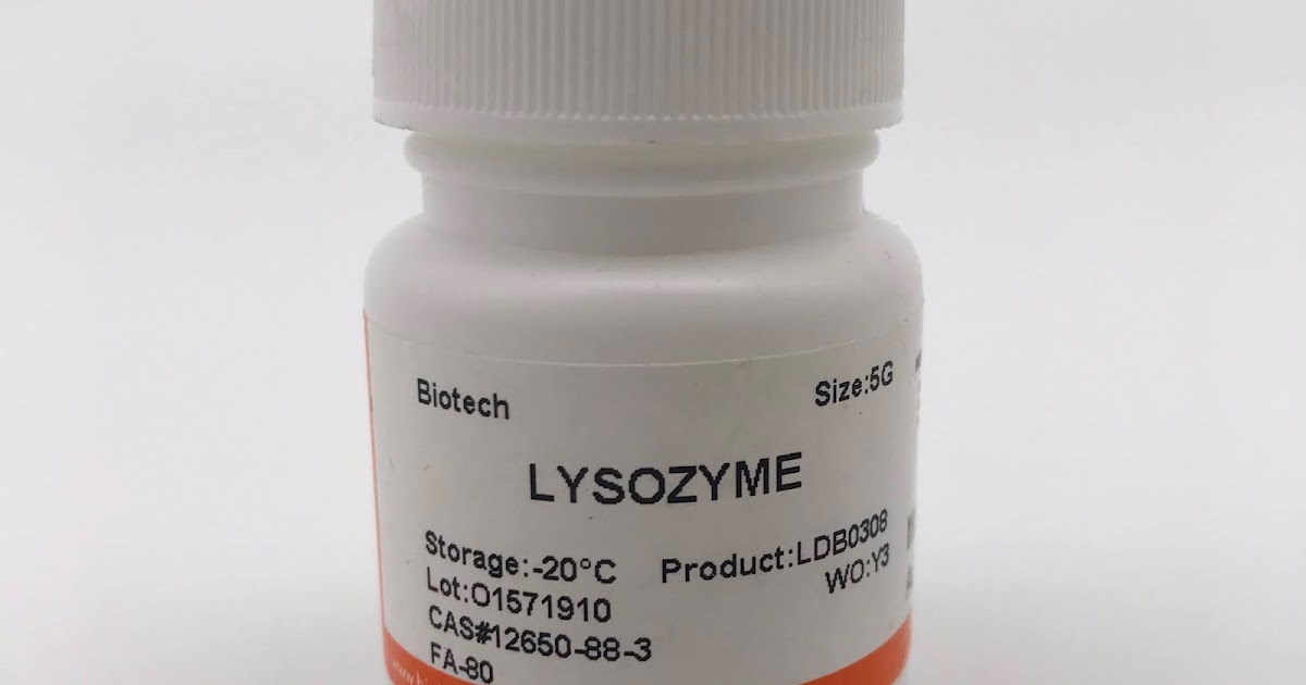 Lysozyme