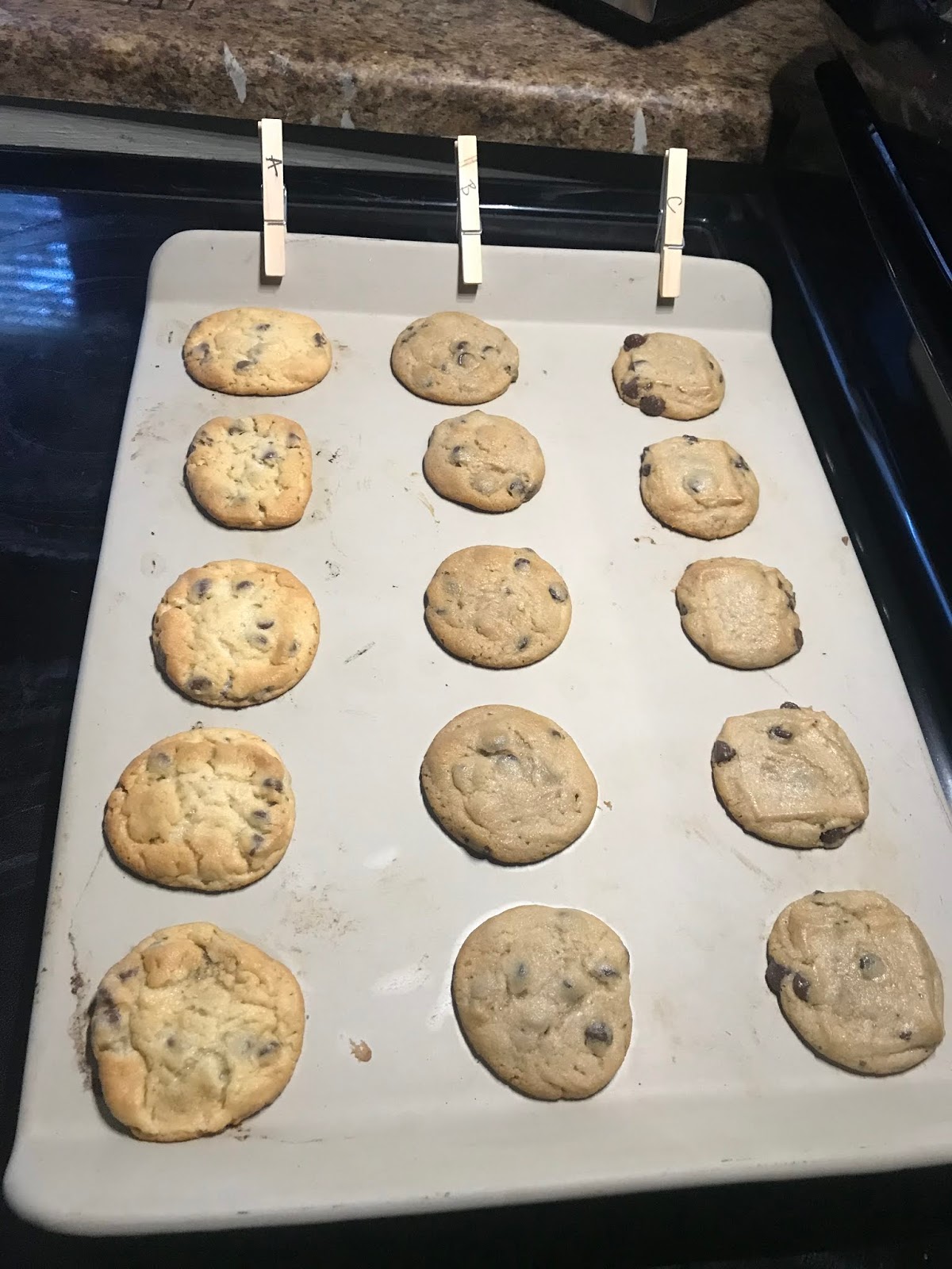 A Slice of Life: TLU Food Writing: Cookie vs Cookie vs Cookie