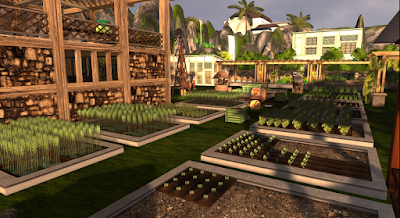 August 2020 ~ The SL Enquirer