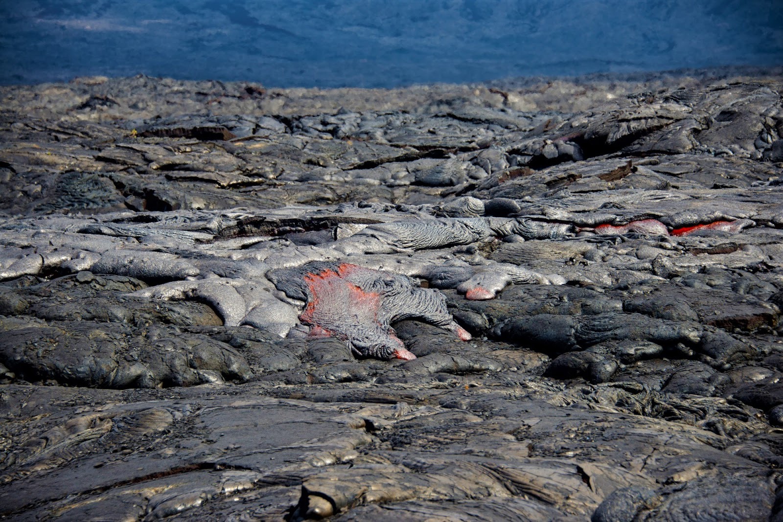 Bible Lessons From The Outdoors: Outdoor Object Lesson 98: Lava Crickets