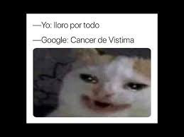 los mejores memes de gatos llorando | nada de relleno - puntomeme