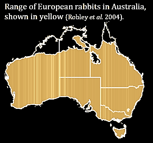 NestCities: Australia's European Rabbit Invasion