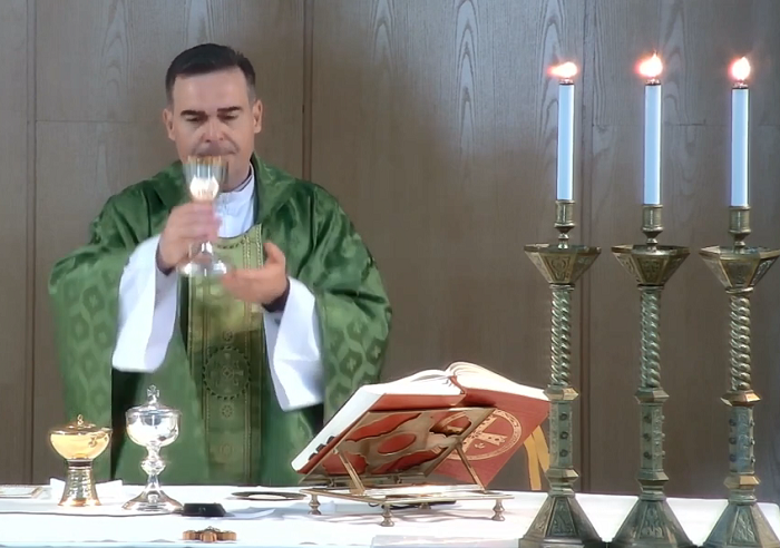 Camino Católico: Santa Misa de hoy, domingo de la 15ª semana de Tiempo Ordinario, 11-7-2021