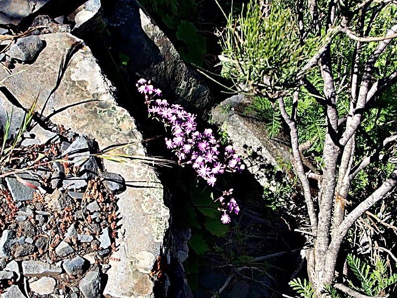 APRENDER A PROGRAMAR CON PYTHON: GENERATORS