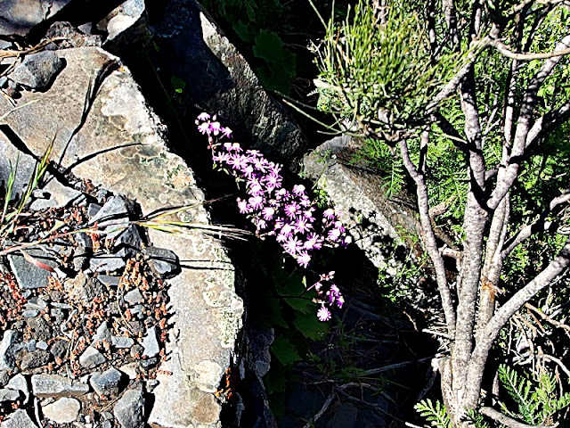 APRENDER A PROGRAMAR CON PYTHON: GENERATORS