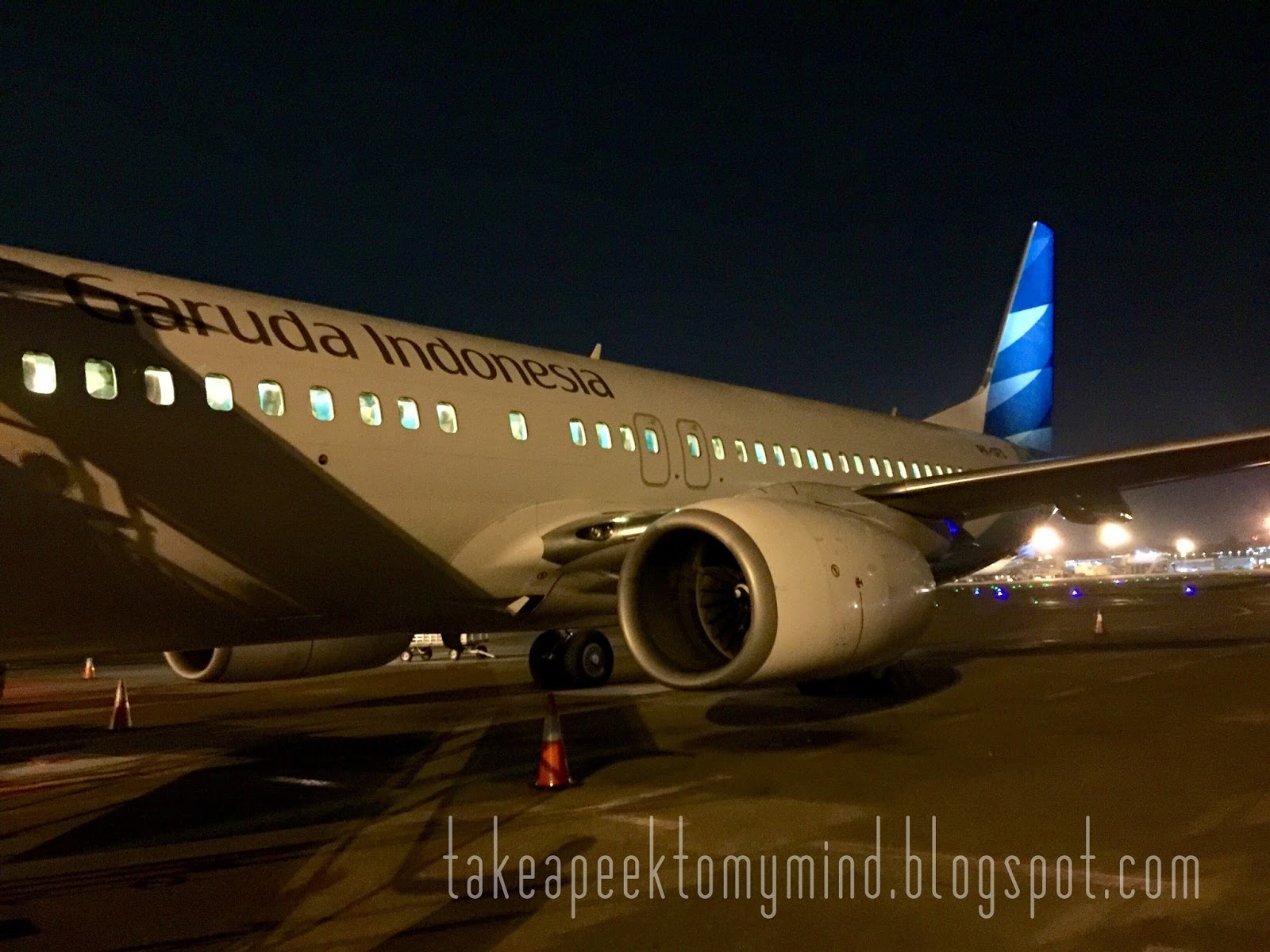 Vol 421 Garuda Indonesia Garuda Indonesia Flight 421