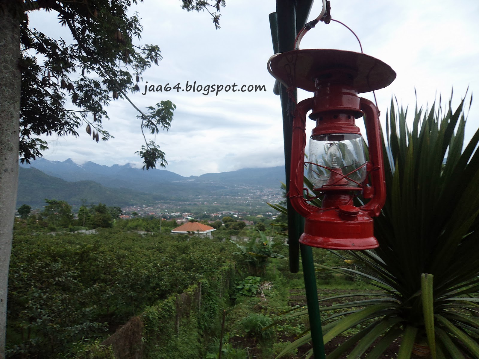 JaA's StorY: Trip to Surabaya and Malang -petik jambu, epal dan taman ...
