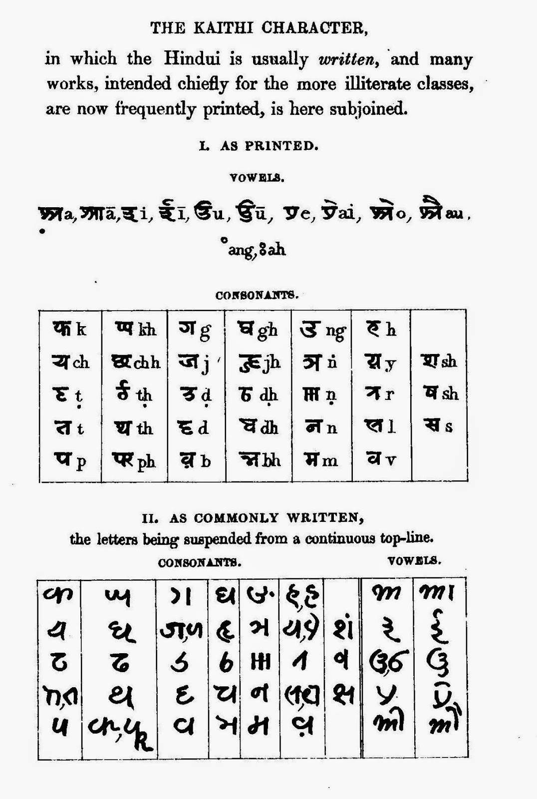 Catching Flies: An artist ahead of his time