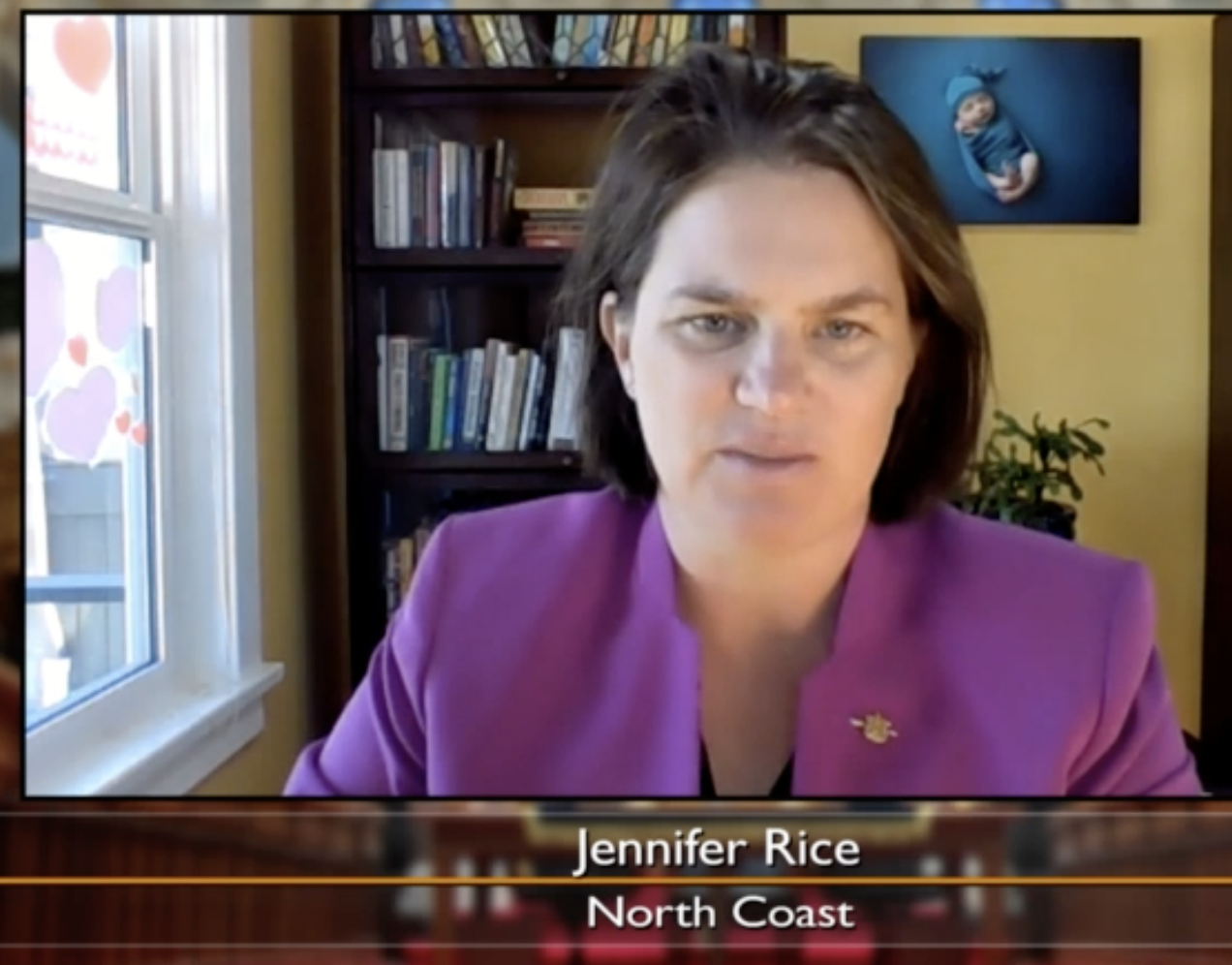 D'Arcy McGee: North Coast MLA Jennifer Rice speaks to BC Government ...