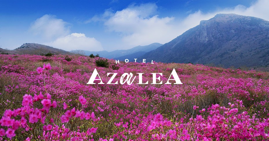 Hotel Azalea opens at Biseulsan Recreational Center Area! (New hotel in ...