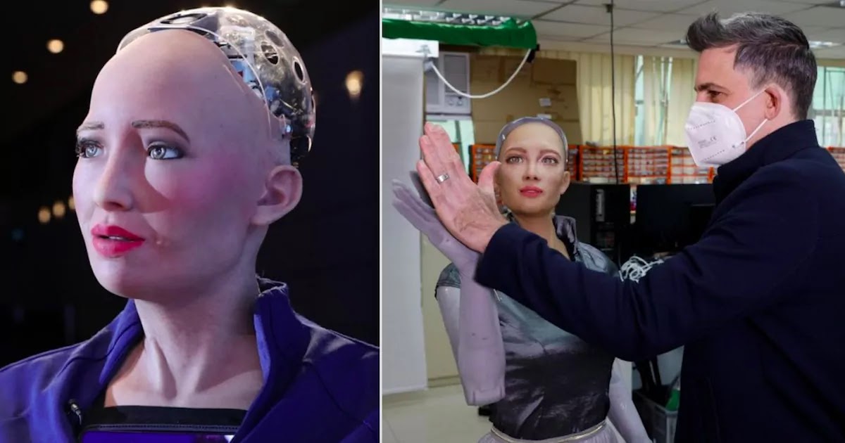 Hanson Robotics Plans Mass Roll-Out Of Humanoid Robots To Assist In ...