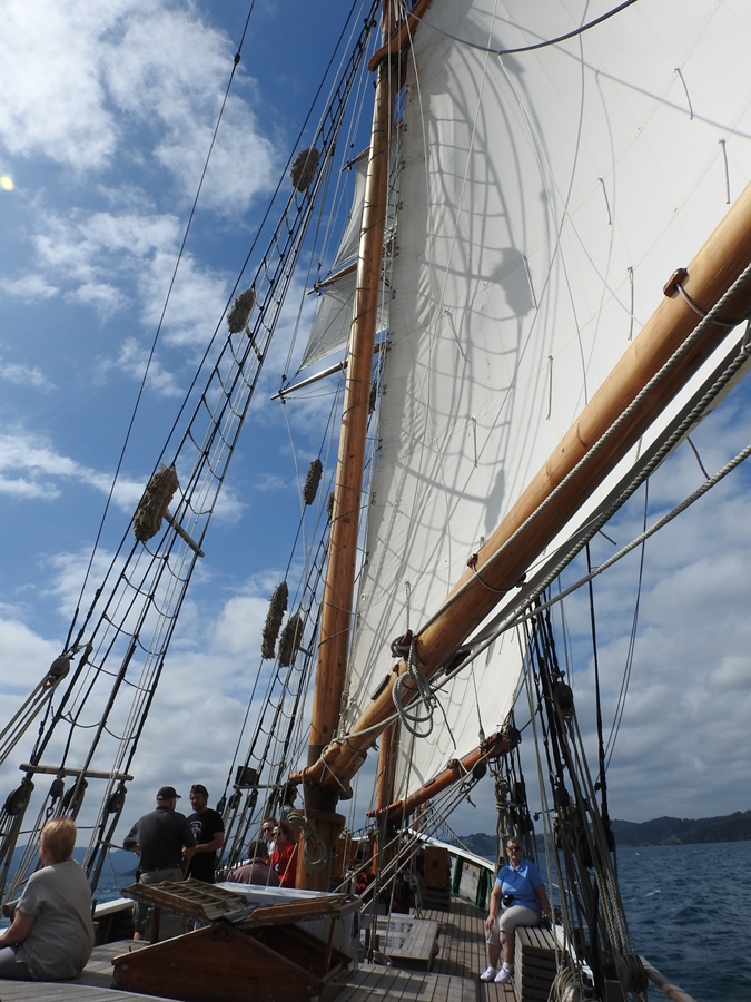 photographing New Zealand: R Tucker Thompson cruise