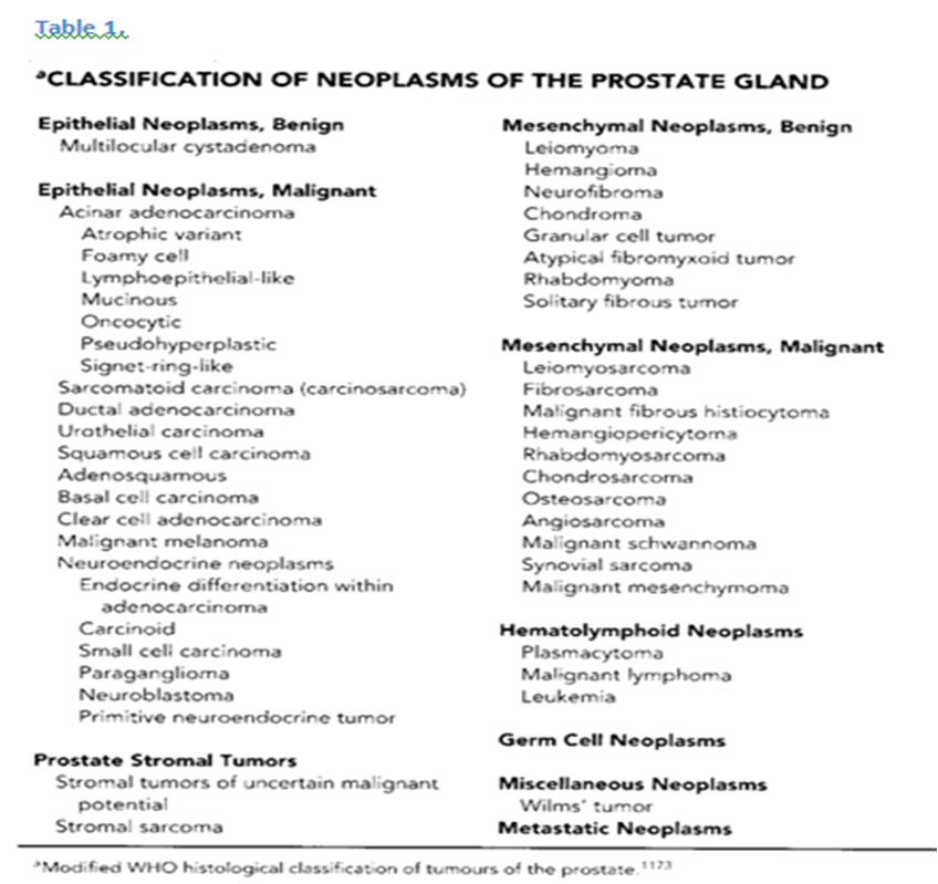 GO BIG or GO HOME: Pathology of prostate gland adenocarcinoma and its ...