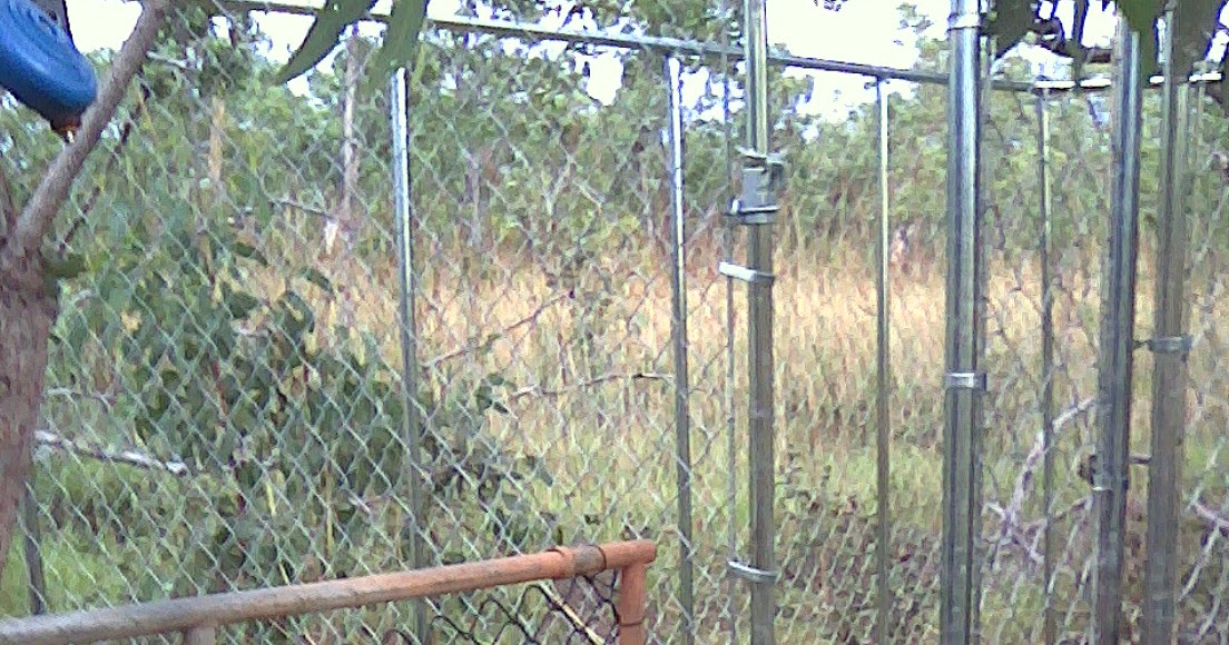 Off Grid in the Tropics: Achieve