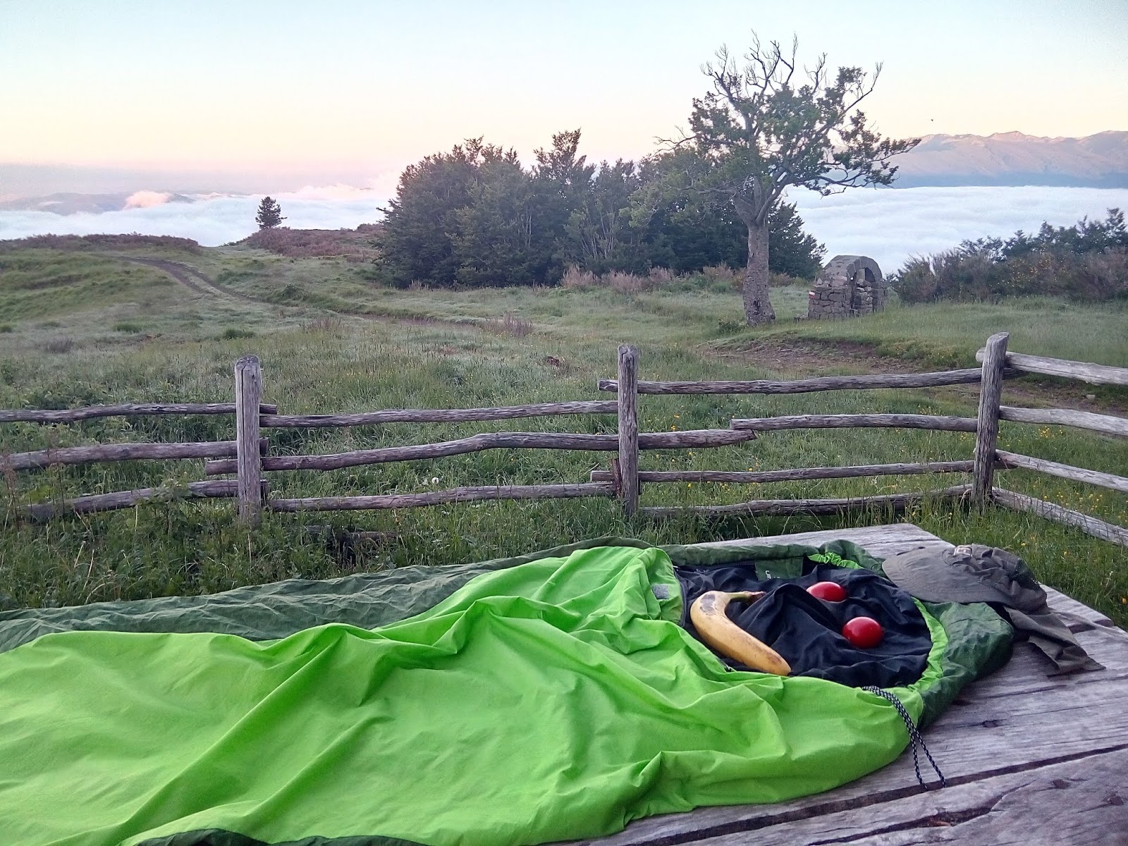 ci penserò sopra: Le stelle a Le roncole