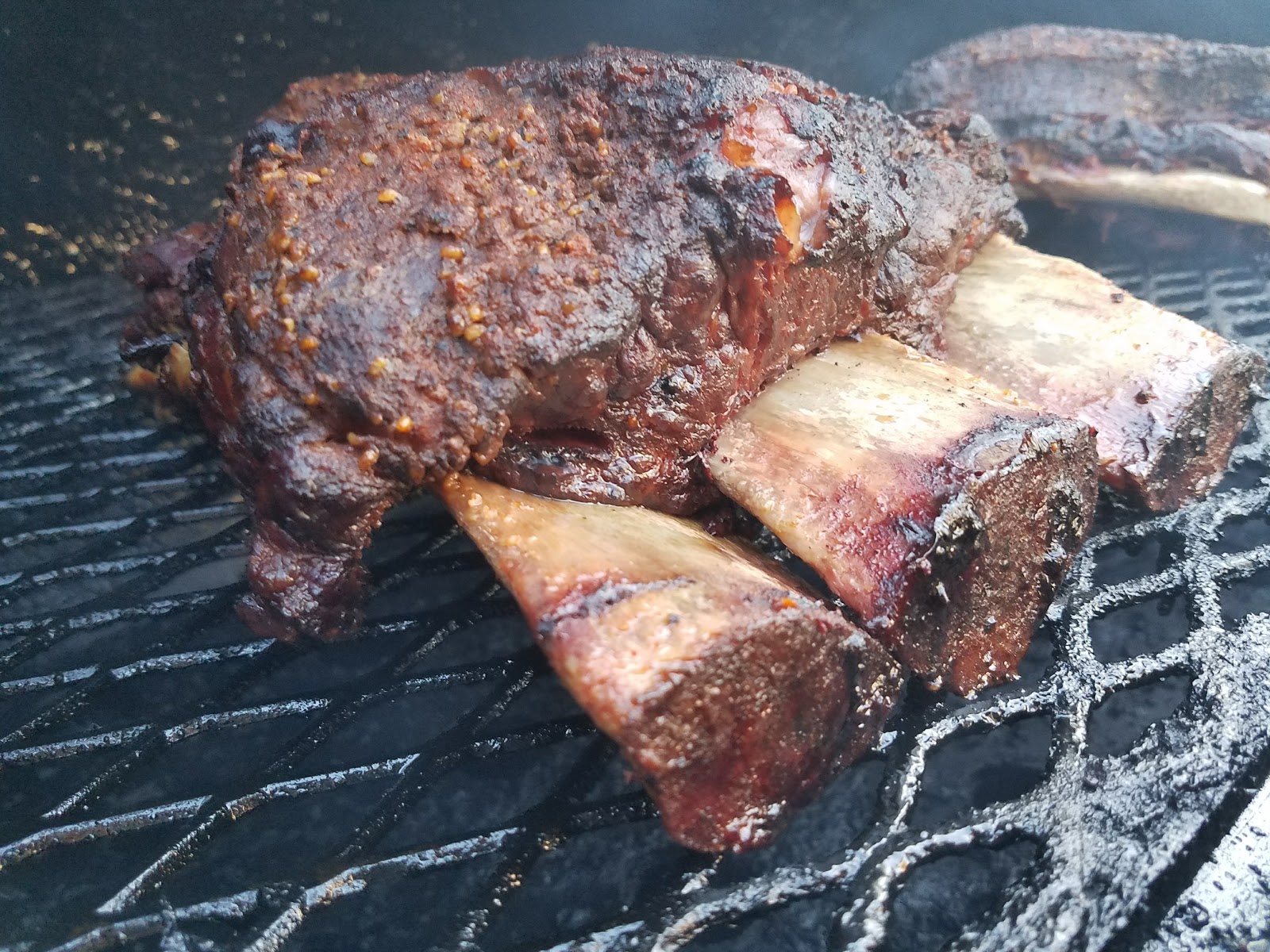 The Carnivorous Food Breeze: Smoked Beef Short-Ribs