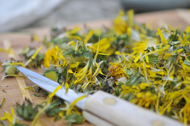 domestic sensualist: cooking with dandelions
