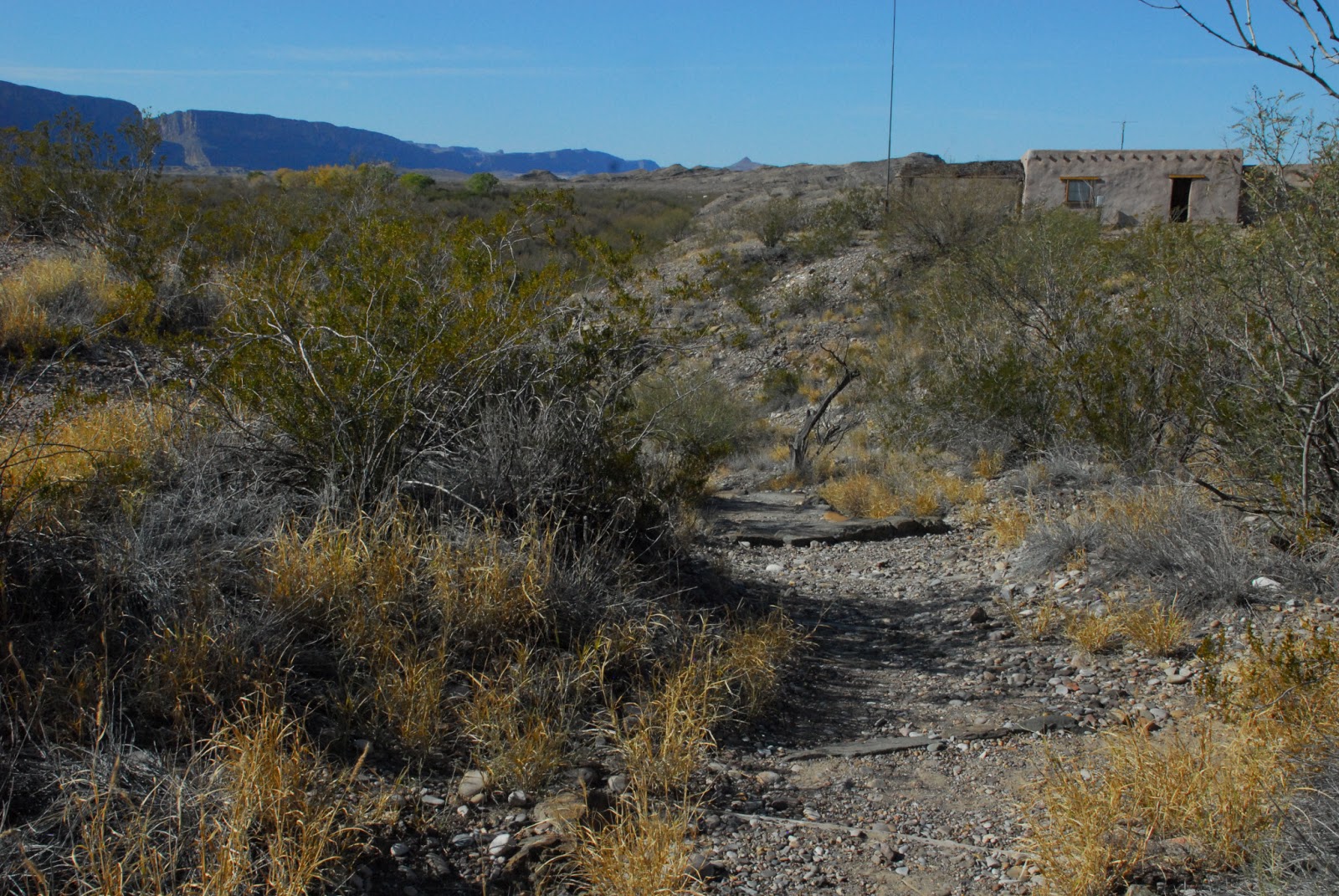 Texas Mountain Trail Daily Photo: Alvino House at Castolon in Big Bend ...