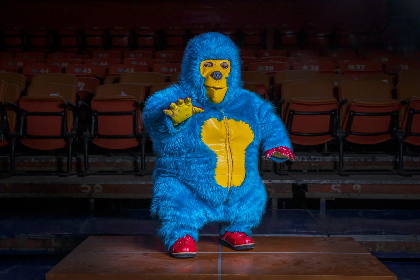 Los Coliseinos: ¿Y en dónde están los enanos?