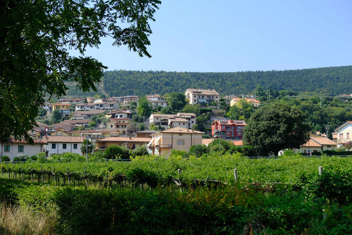 La Veja: NEGRAR È DIVENTATO FAMOSO ANCHE PER IL NEOLOGISMO…NEGRARIZZAZIONE