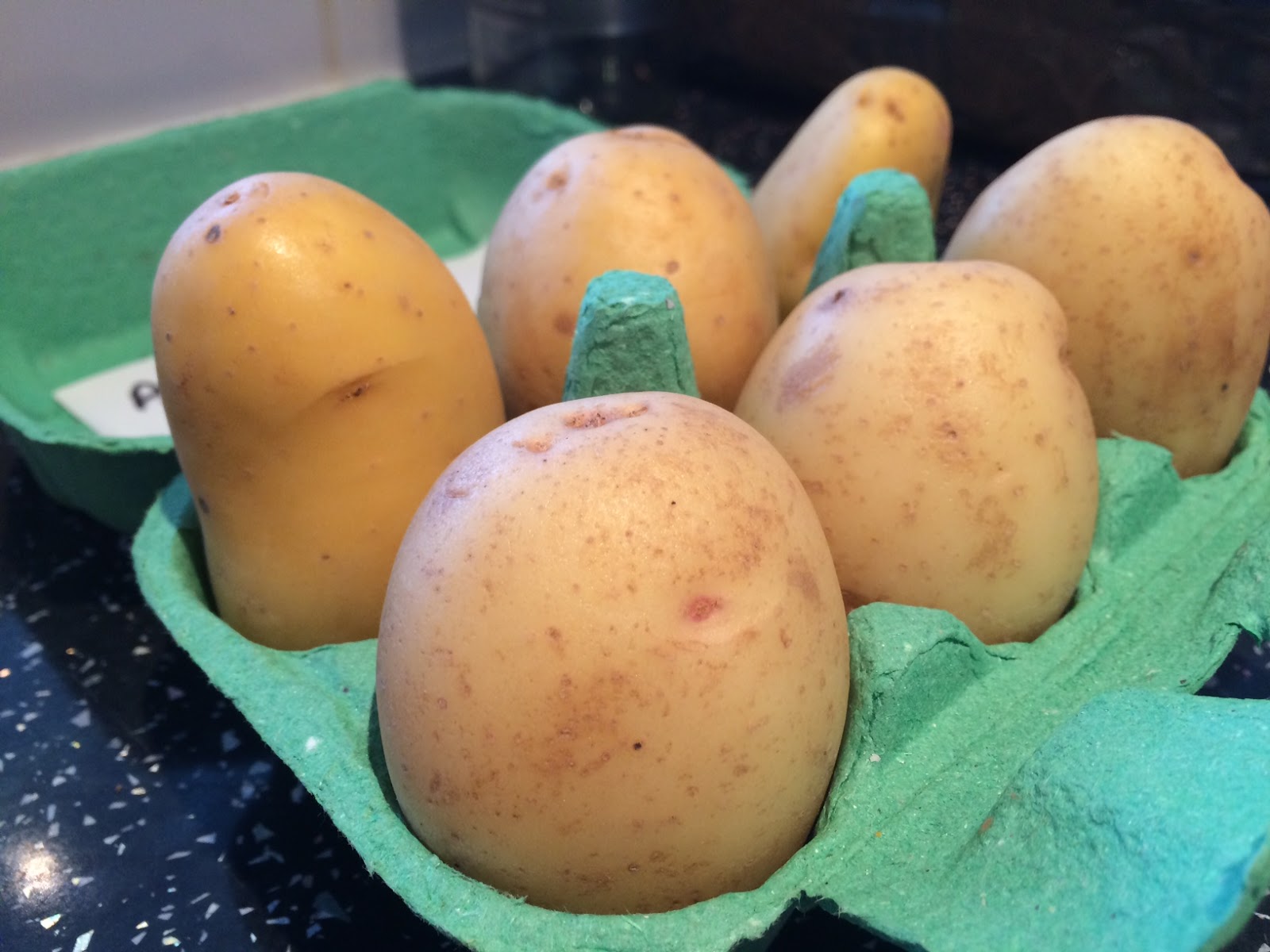 The Smallest Veg Garden: The Great Potato Plan