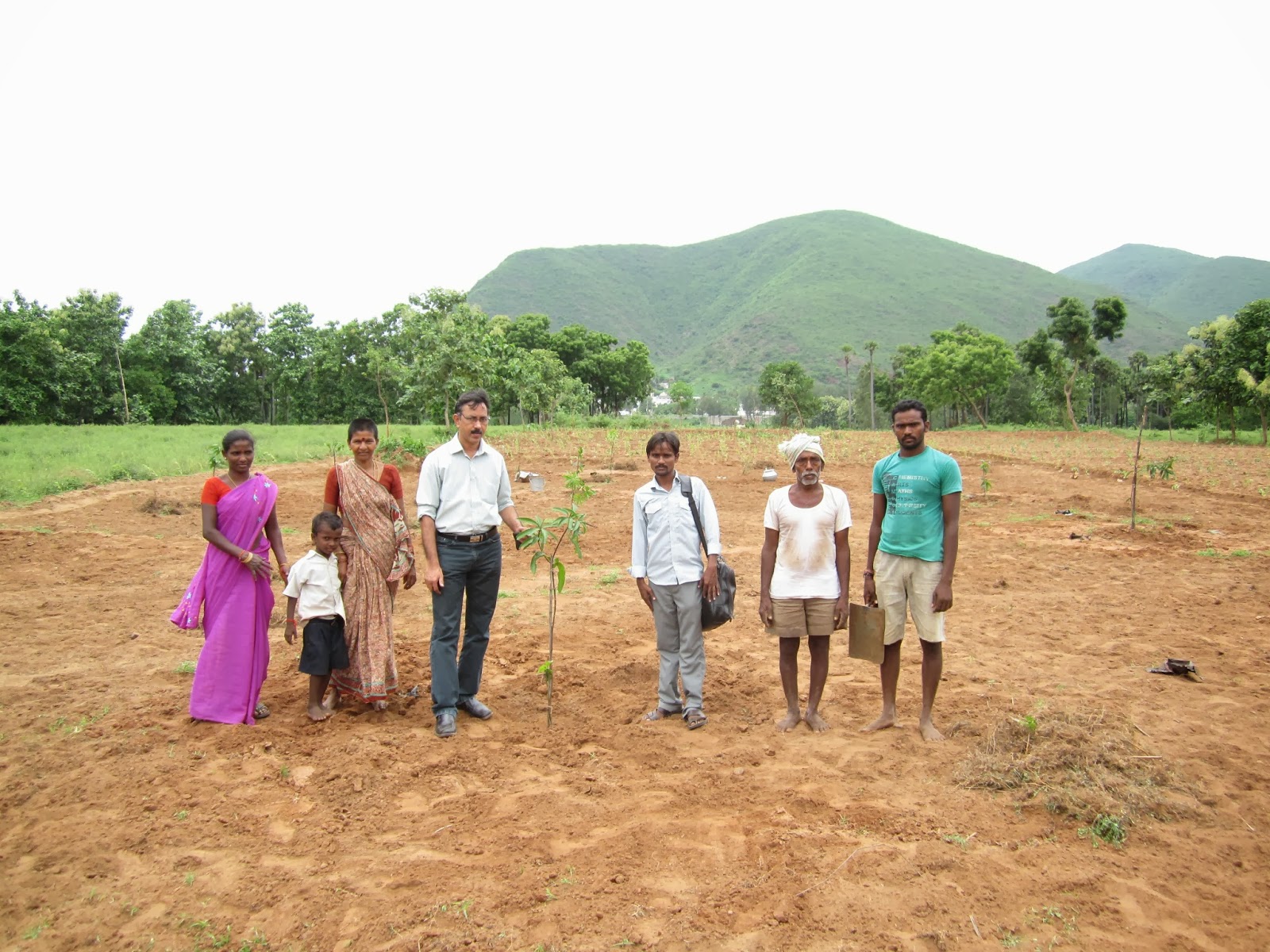 MGNREGS-AP GARIVIDI CLUSTER