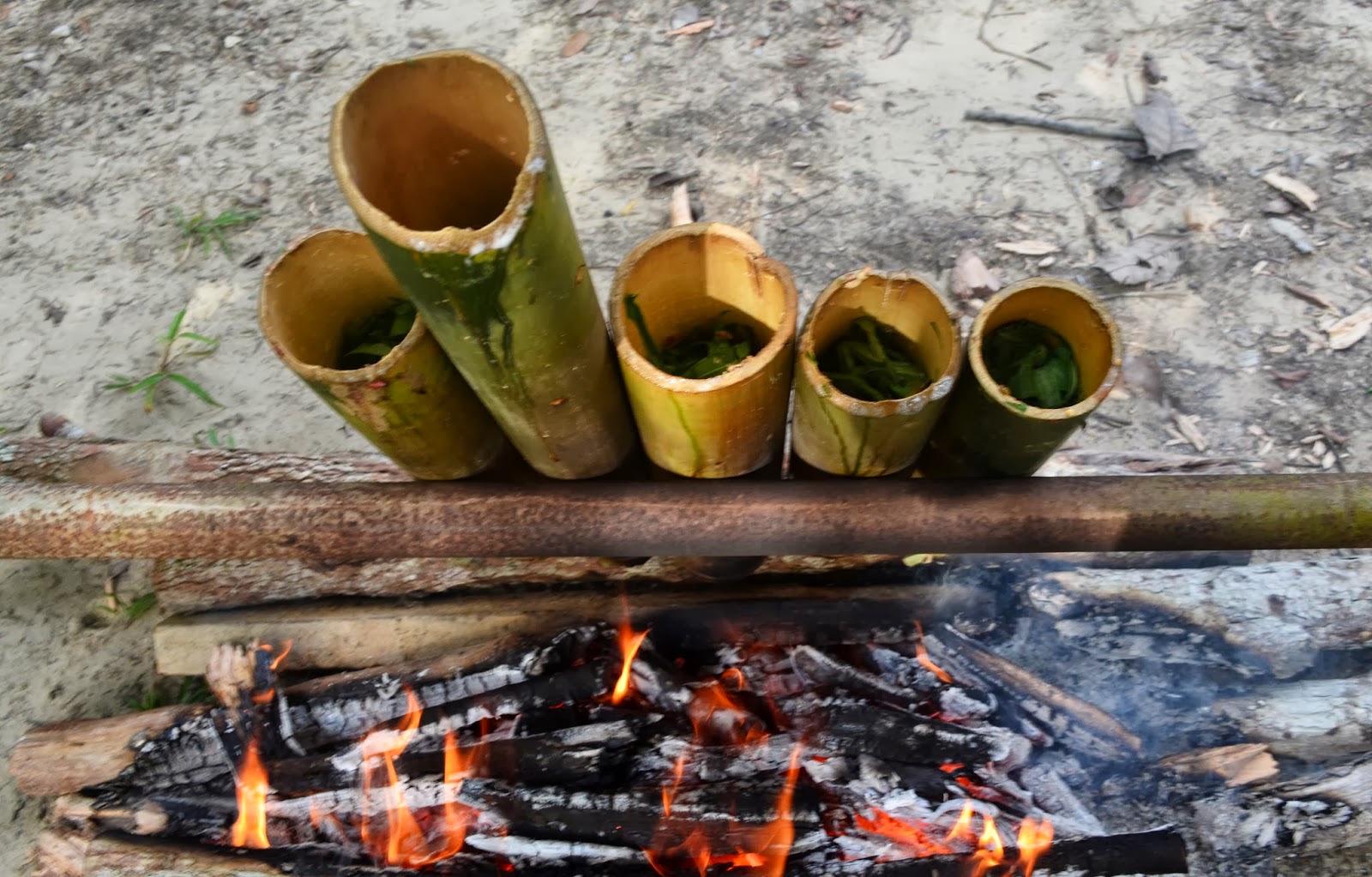 The Kambatik Park, Bintulu.: The making of chicken cooked in bamboo or ...